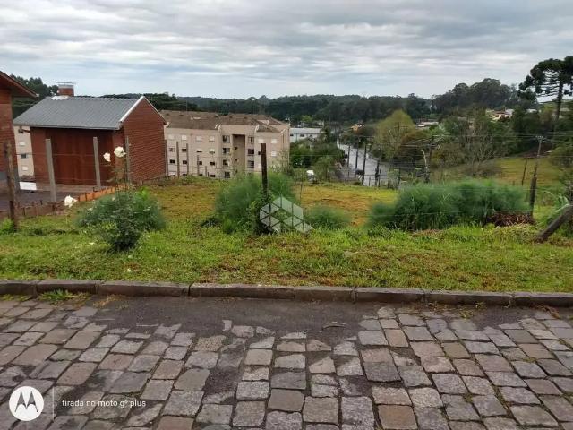 Terreno / Lote para Venda em Caxias do Sul/RS Santo Antônio
