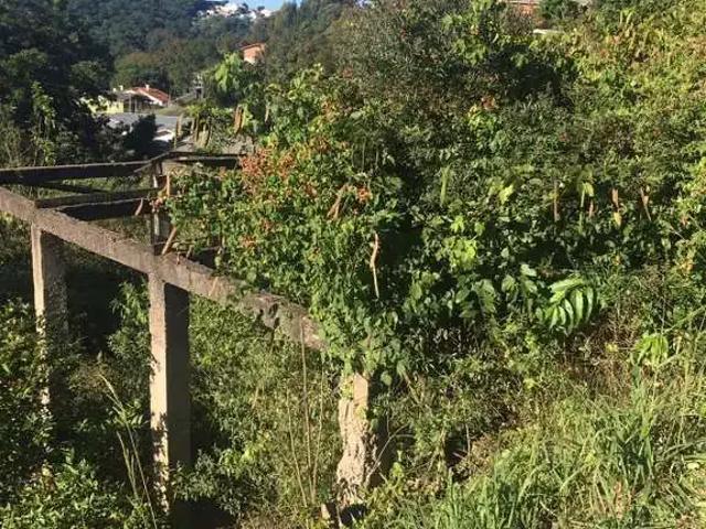 Terreno / Lote para Venda em Caxias do Sul/RS Santa Corona