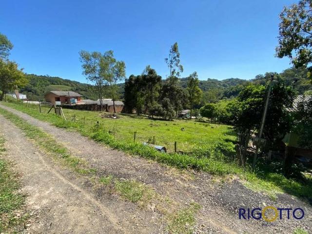 Terreno / Lote para Venda em Caxias do Sul/RS Santa Corona