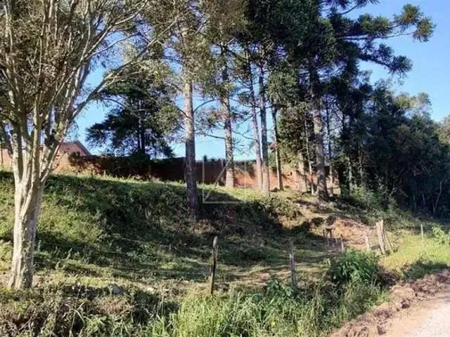 Terreno / Lote para Venda em Caxias do Sul/RS Santa Corona