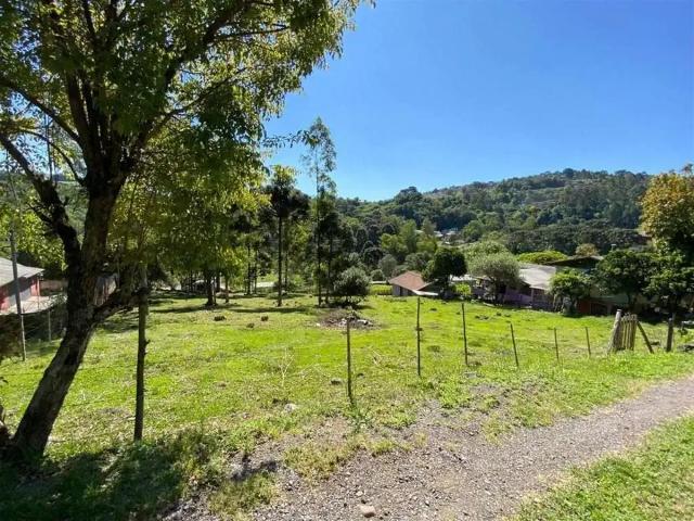 Terreno / Lote para Venda em Caxias do Sul/RS Santa Corona