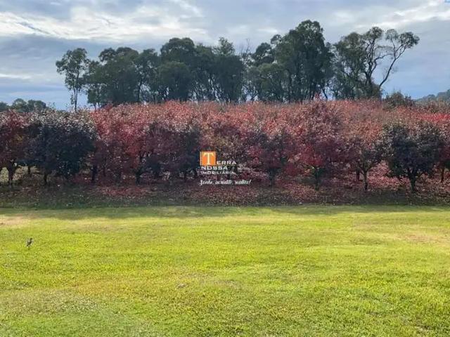 Terreno / Lote para Venda em Caxias do Sul/RS Santa Catarina