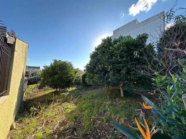 Terreno / Lote para Venda em Caxias do Sul/RS Santa Catarina