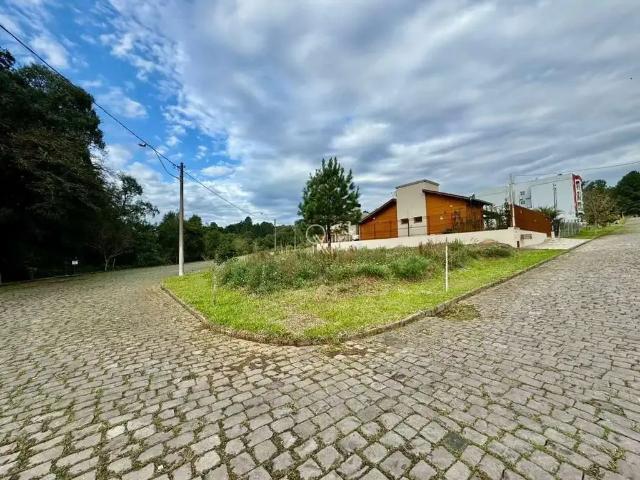 Terreno / Lote para Venda em Caxias do Sul/RS Santa Catarina