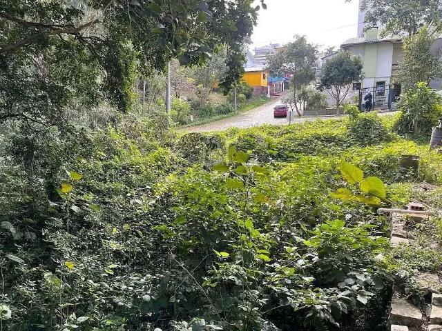 Terreno / Lote para Venda em Caxias do Sul/RS Santa Catarina