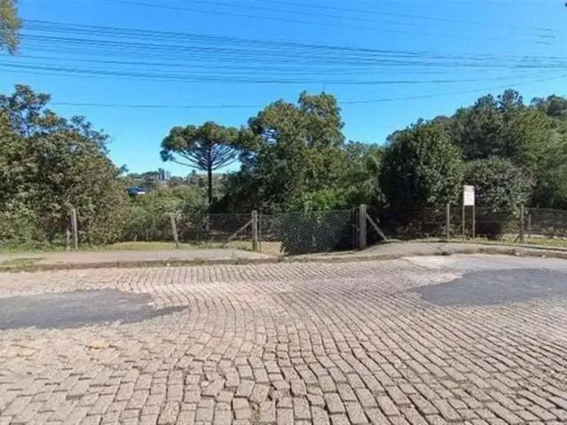 Terreno / Lote para Venda em Caxias do Sul/RS Santa Catarina