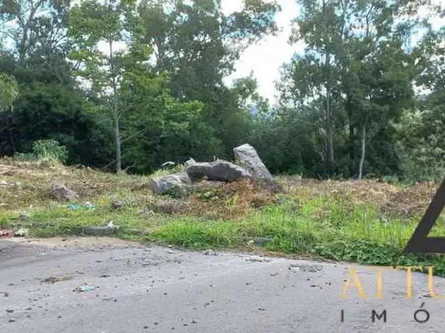 Terreno / Lote para Venda em Caxias do Sul/RS Santa Catarina