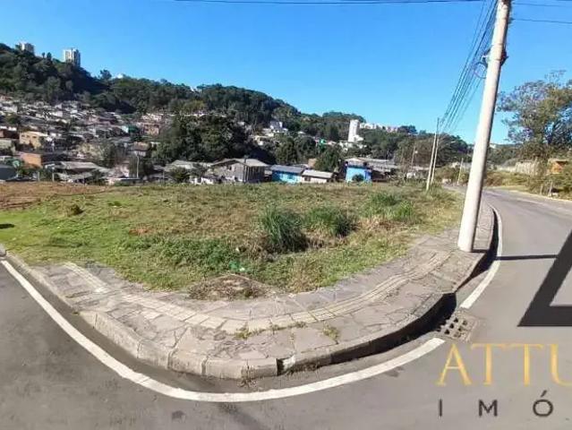 Terreno / Lote para Venda em Caxias do Sul/RS Santa Catarina