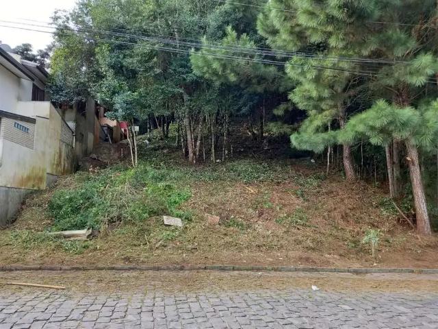 Terreno / Lote para Venda em Caxias do Sul/RS Santa Catarina