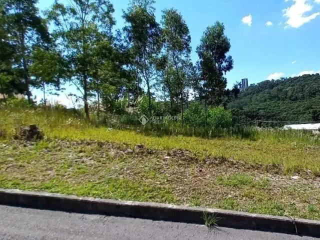 Terreno / Lote para Venda em Caxias do Sul/RS Santa Catarina