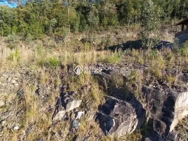 Terreno / Lote para Venda em Caxias do Sul/RS Santa Catarina