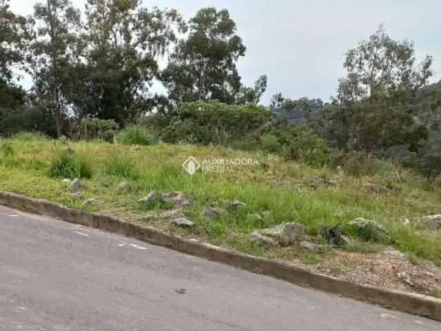 Terreno / Lote para Venda em Caxias do Sul/RS Santa Catarina
