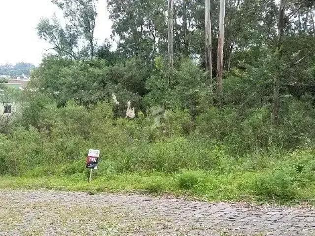 Terreno / Lote para Venda em Caxias do Sul/RS Santa Catarina
