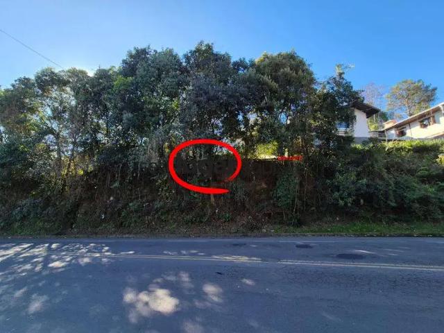 Terreno / Lote para Venda em Caxias do Sul/RS Santa Catarina