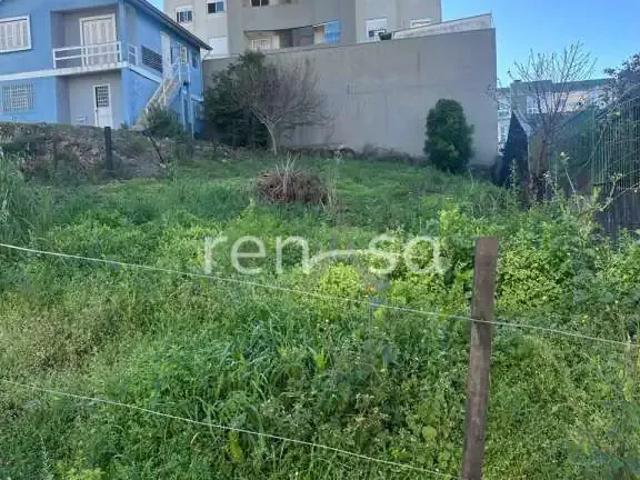 Terreno / Lote para Venda em Caxias do Sul/RS Santa Lúcia