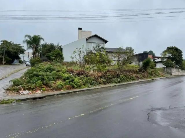 Terreno / Lote para Venda em Caxias do Sul/RS Santa Lúcia