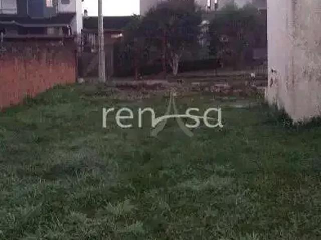 Terreno / Lote para Venda em Caxias do Sul/RS Santa Lúcia