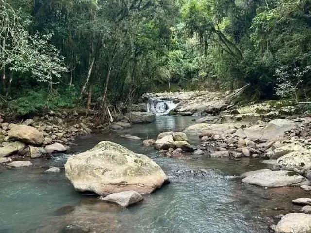 Terreno / Lote para Venda em Caxias do Sul/RS Santa Lúcia do Piaí