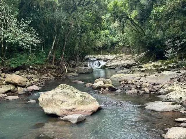 Terreno / Lote para Venda em Caxias do Sul/RS Santa Lúcia do Piaí