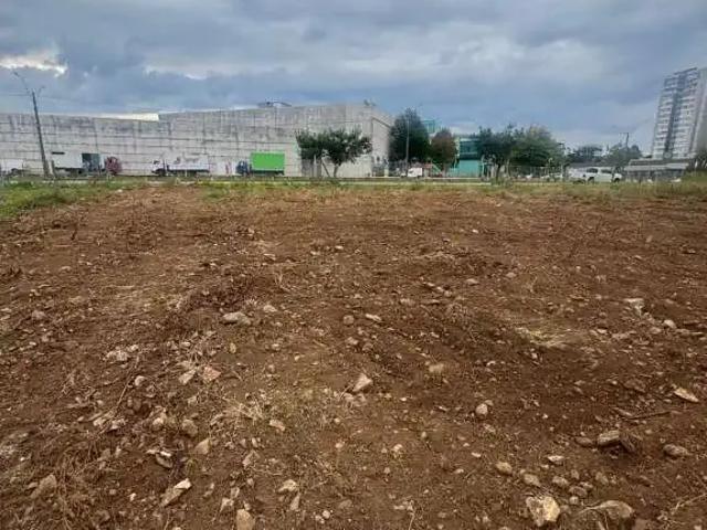 Terreno / Lote para Venda em Caxias do Sul/RS Sanvitto