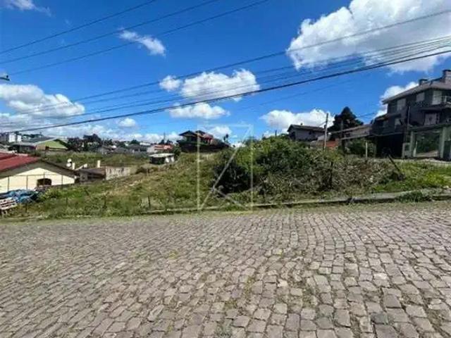 Terreno / Lote para Venda em Caxias do Sul/RS Sanvitto