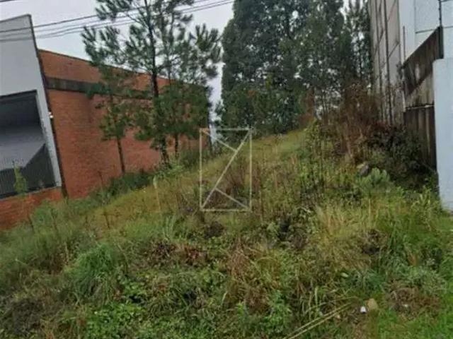 Terreno / Lote para Venda em Caxias do Sul/RS Sanvitto