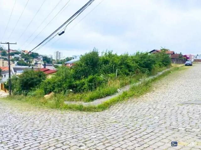 Terreno / Lote para Venda em Caxias do Sul/RS Sanvitto