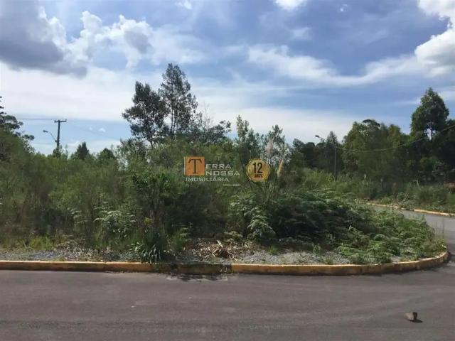 Terreno / Lote para Venda em Caxias do Sul/RS Sanvitto