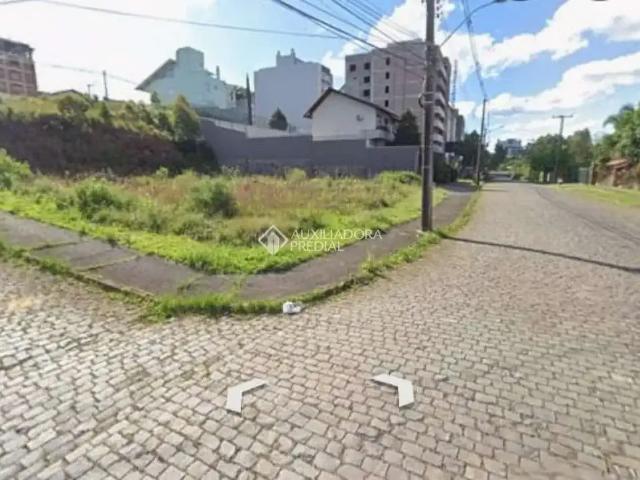 Terreno / Lote para Venda em Caxias do Sul/RS Sanvitto