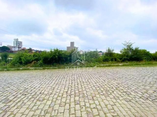 Terreno / Lote para Venda em Caxias do Sul/RS Sanvitto