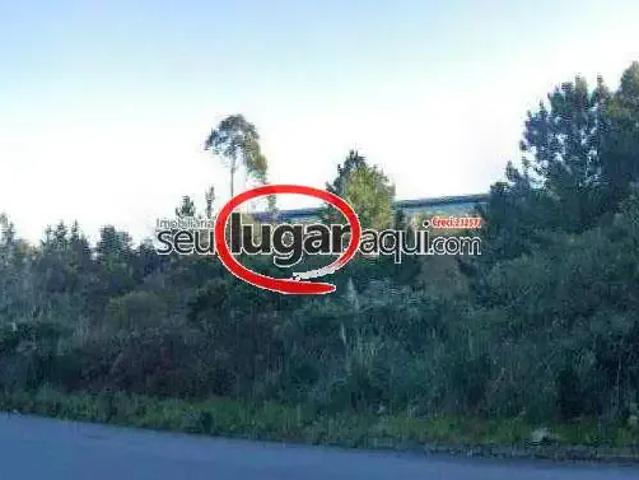 Terreno / Lote para Venda em Caxias do Sul/RS Sanvitto