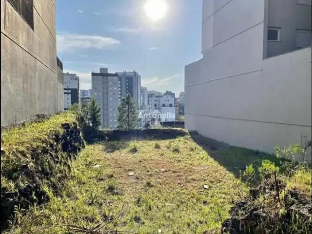 Terreno / Lote para Venda em Caxias do Sul/RS Sanvitto