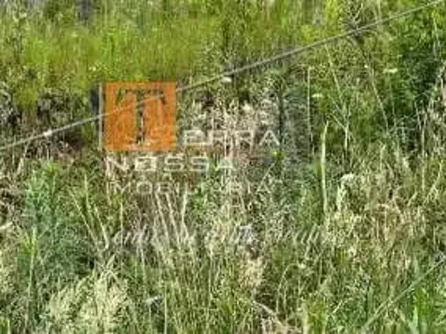 Terreno / Lote para Venda em Caxias do Sul/RS Sanvitto