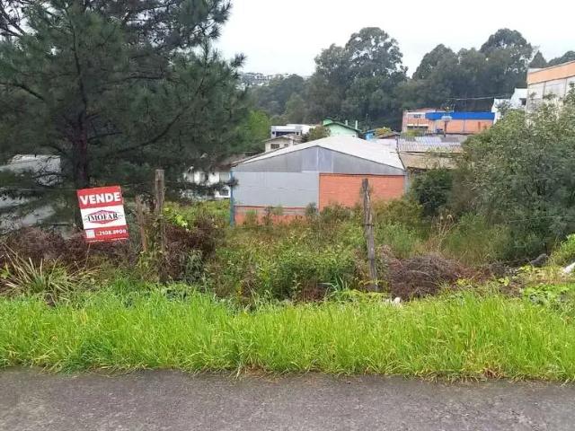 Terreno / Lote para Venda em Caxias do Sul/RS Sanvitto
