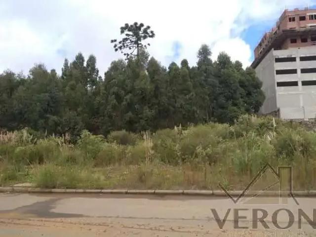 Terreno / Lote para Venda em Caxias do Sul/RS Sanvitto