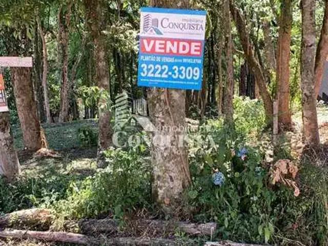 Terreno / Lote para Venda em Caxias do Sul/RS Serrano