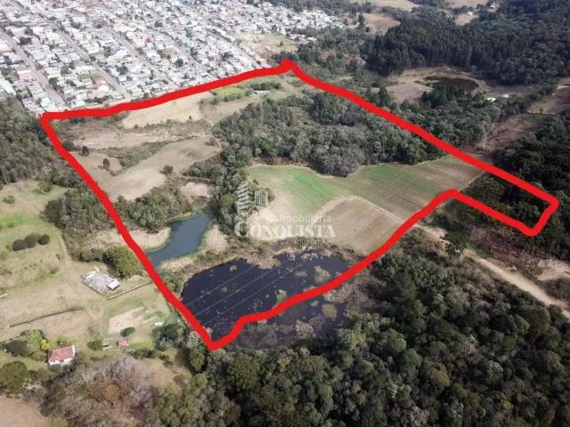 Terreno / Lote para Venda em Caxias do Sul/RS Serrano