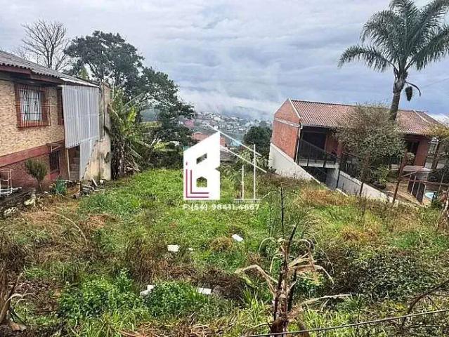 Terreno / Lote para Venda em Caxias do Sul/RS Serrano