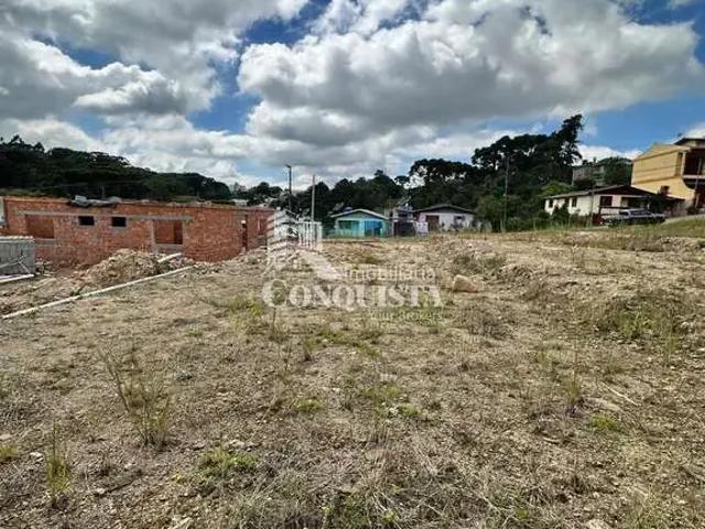 Terreno / Lote para Venda em Caxias do Sul/RS Serrano