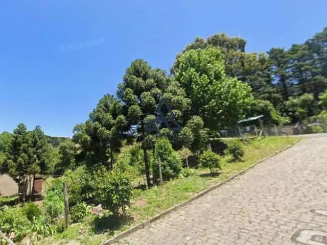 Terreno / Lote para Venda em Caxias do Sul/RS Serrano