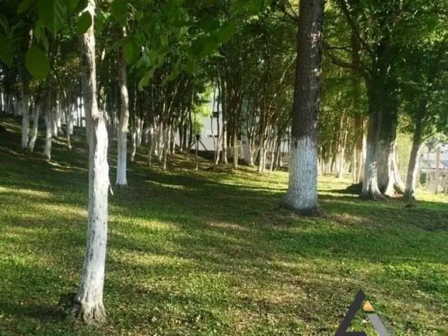Terreno / Lote para Venda em Caxias do Sul/RS Serrano