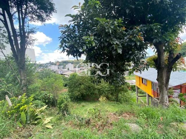 Terreno / Lote para Venda em Caxias do Sul/RS Panazzolo