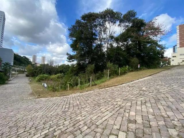 Terreno / Lote para Venda em Caxias do Sul/RS Panazzolo