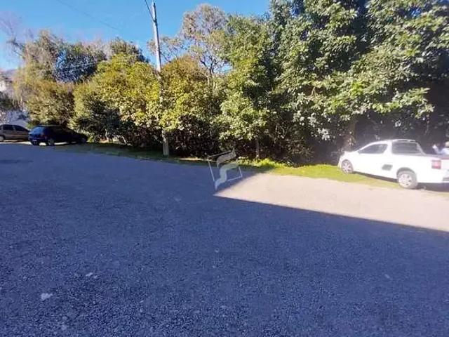 Terreno / Lote para Venda em Caxias do Sul/RS Panazzolo