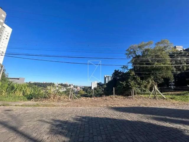 Terreno / Lote para Venda em Caxias do Sul/RS Panazzolo