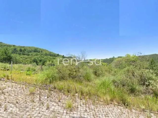 Terreno / Lote para Venda em Caxias do Sul/RS Parada Cristal