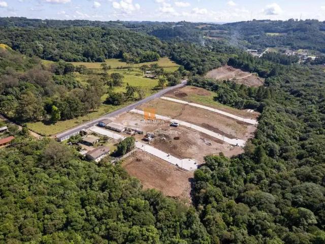 Terreno / Lote para Venda em Caxias do Sul/RS Parada Cristal