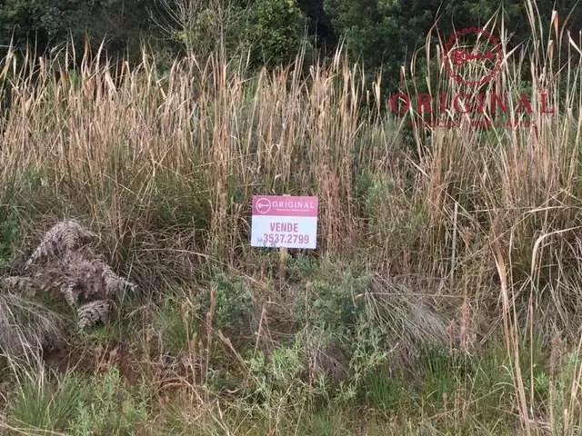 Terreno / Lote para Venda em Caxias do Sul/RS Parada Cristal