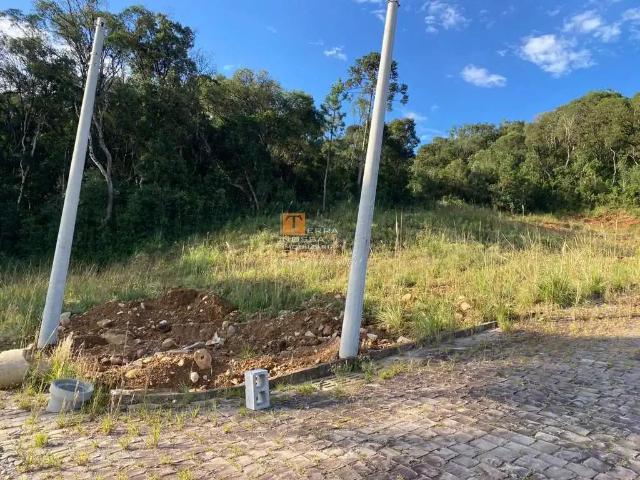 Terreno / Lote para Venda em Caxias do Sul/RS Parada Cristal
