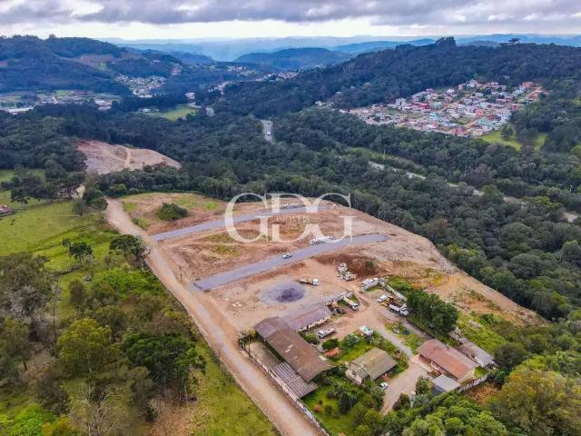 Terreno / Lote para Venda em Caxias do Sul/RS Parada Cristal
